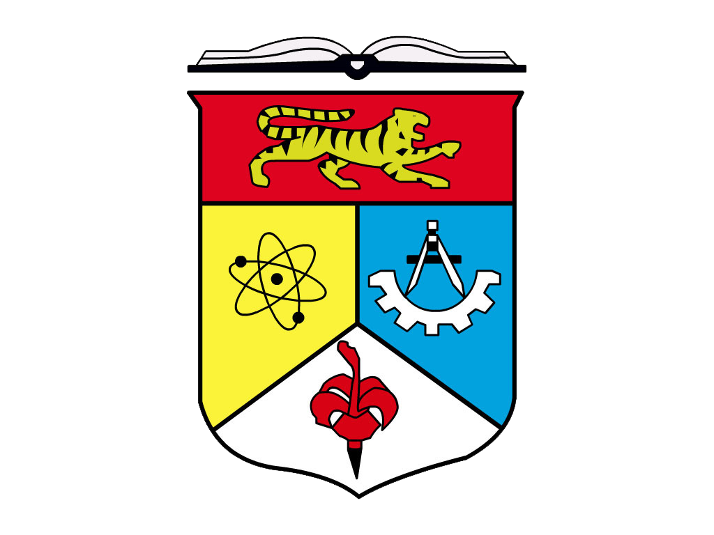 Portfolio | By Naqib